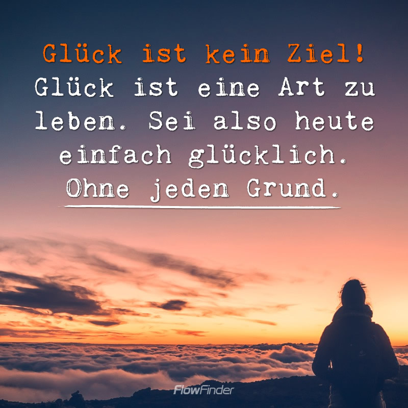 Spruchbild 336 › FlowFinder